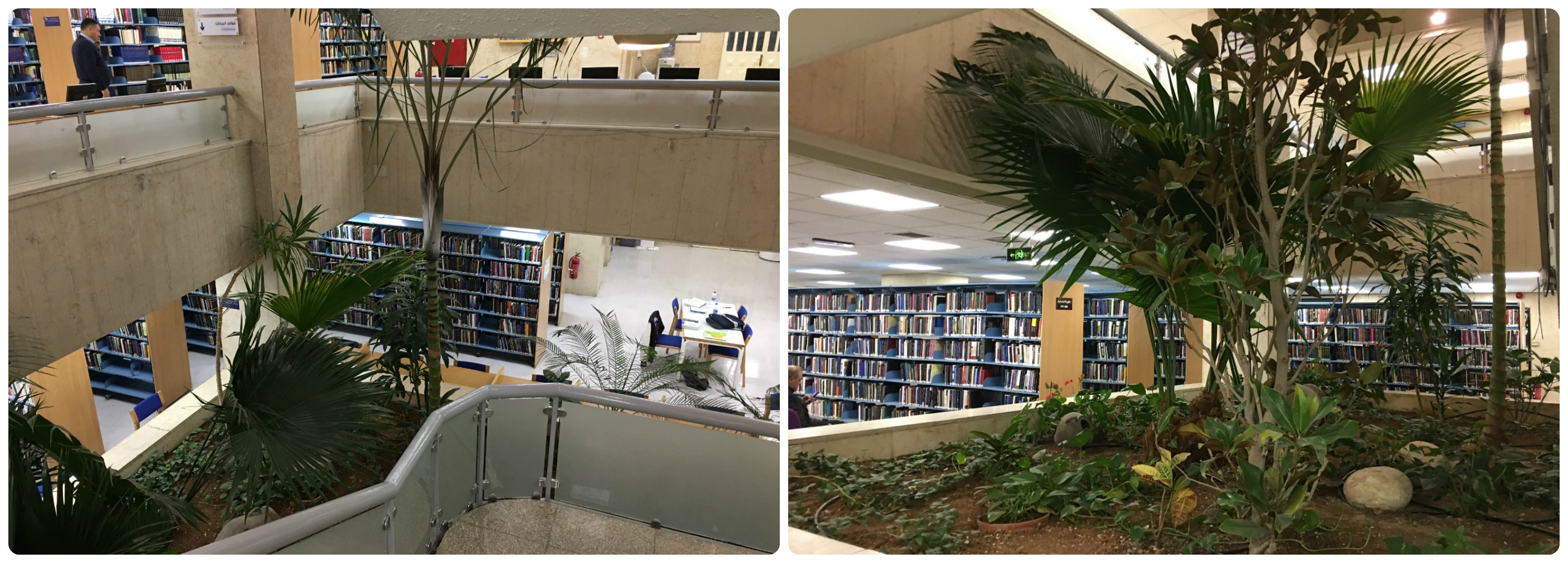 Shoman Foundation Library – My Amman Life