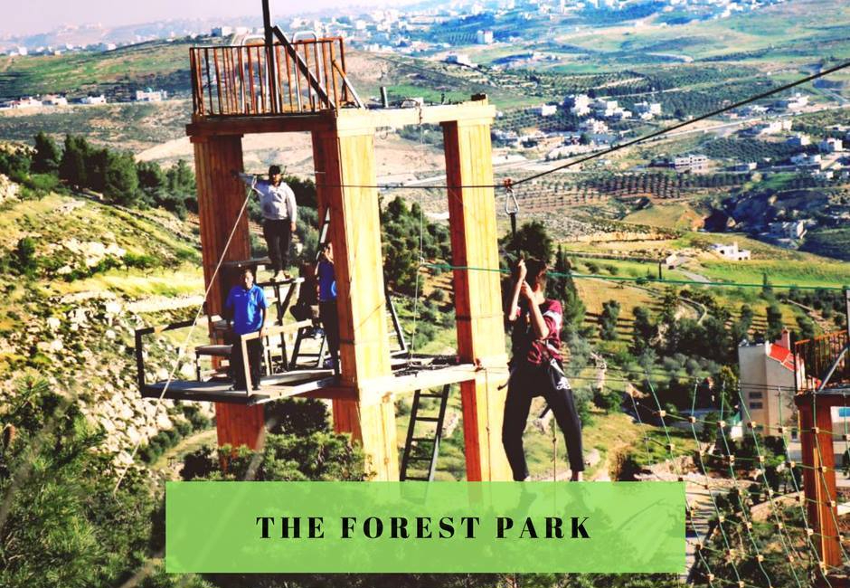 Summer Activities for Kids in Amman – My Amman Life