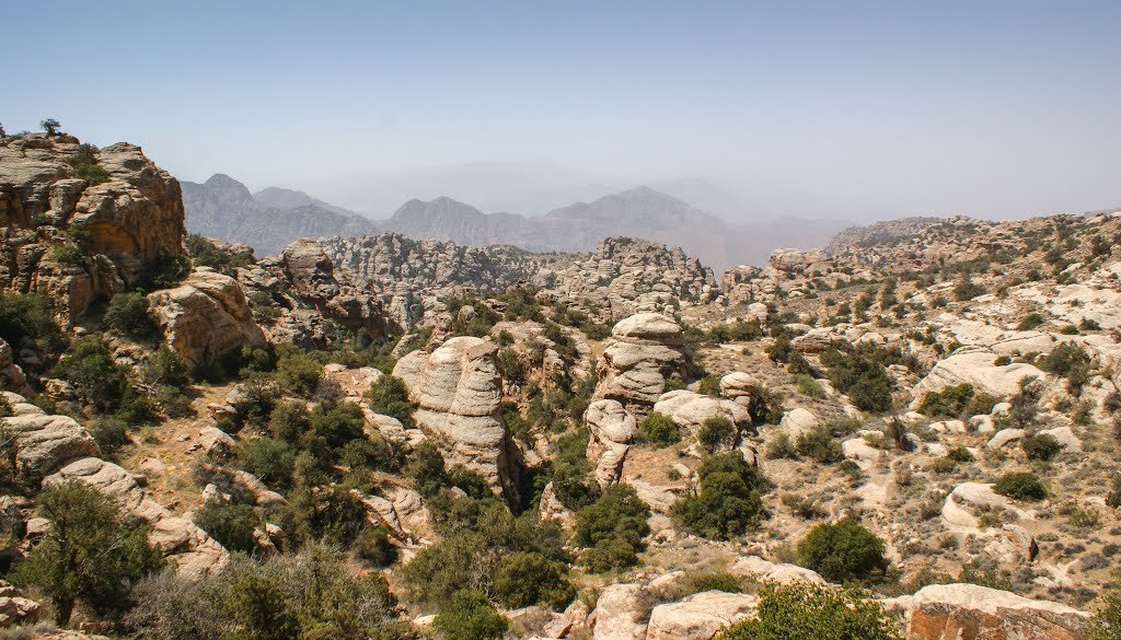 Guide to Jordan’s Nature Reserves, How to Get There & Where to Stay ...