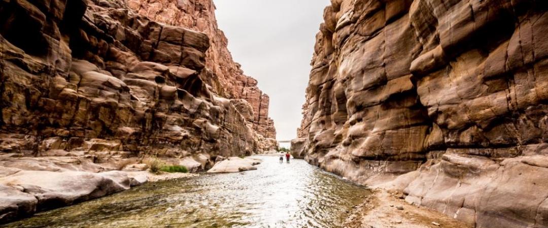 Guide to Jordan’s Nature Reserves, How to Get There & Where to Stay ...